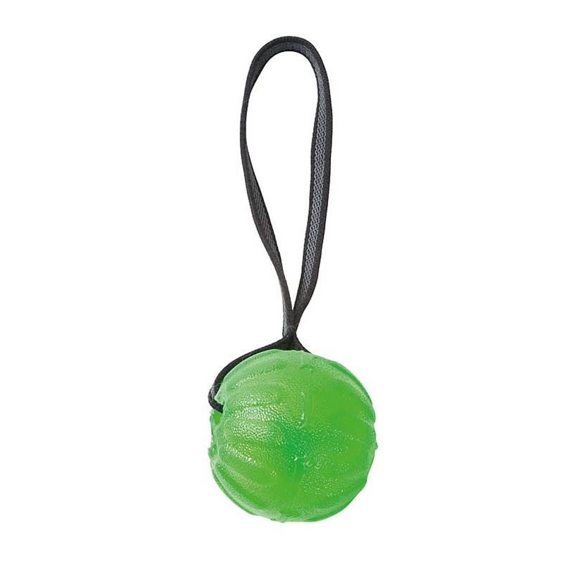 Everlasting Fun Ball